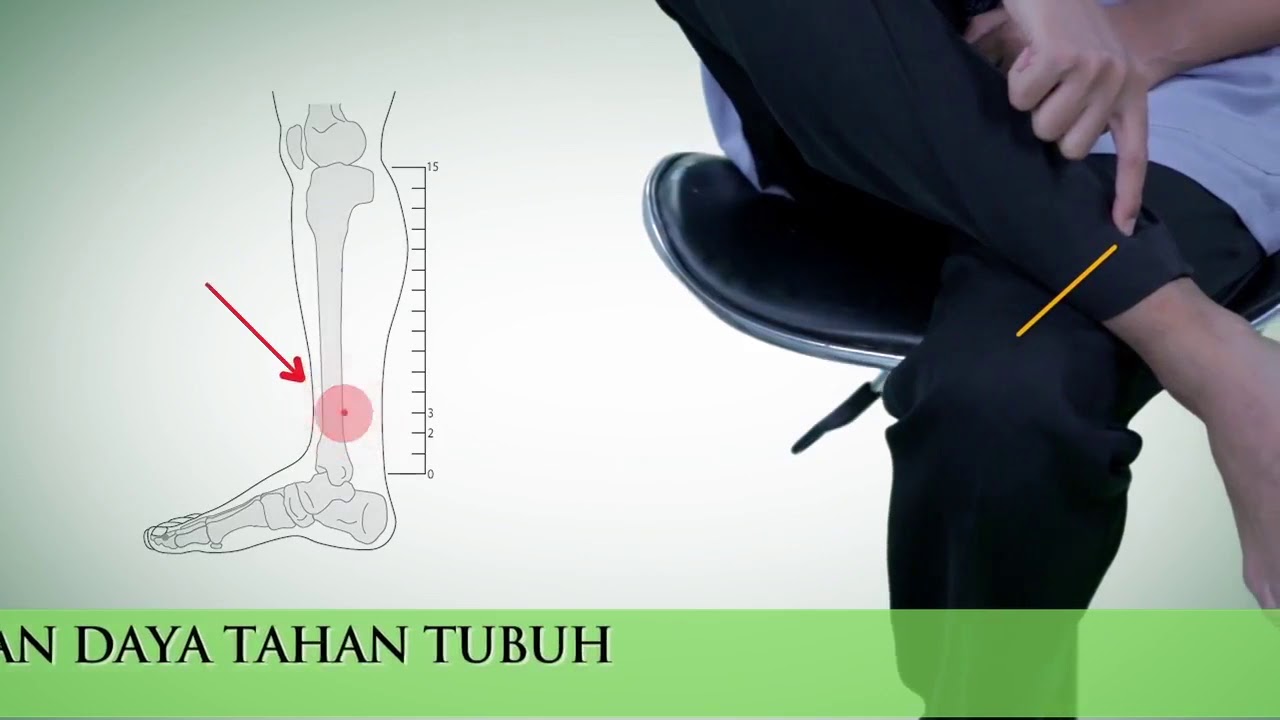 Titik SP 6 - YouTube