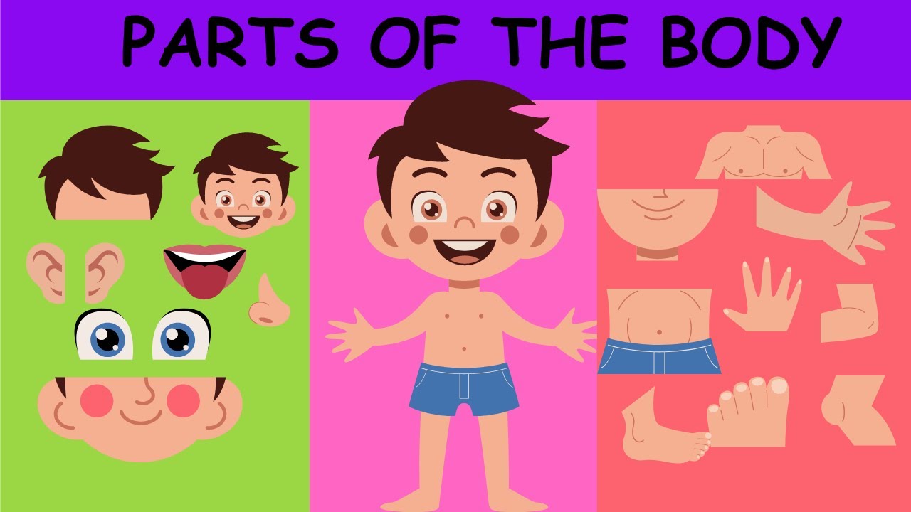Learn Body Parts for Kids | Fun & Easy Anatomy for Toddlers and ...