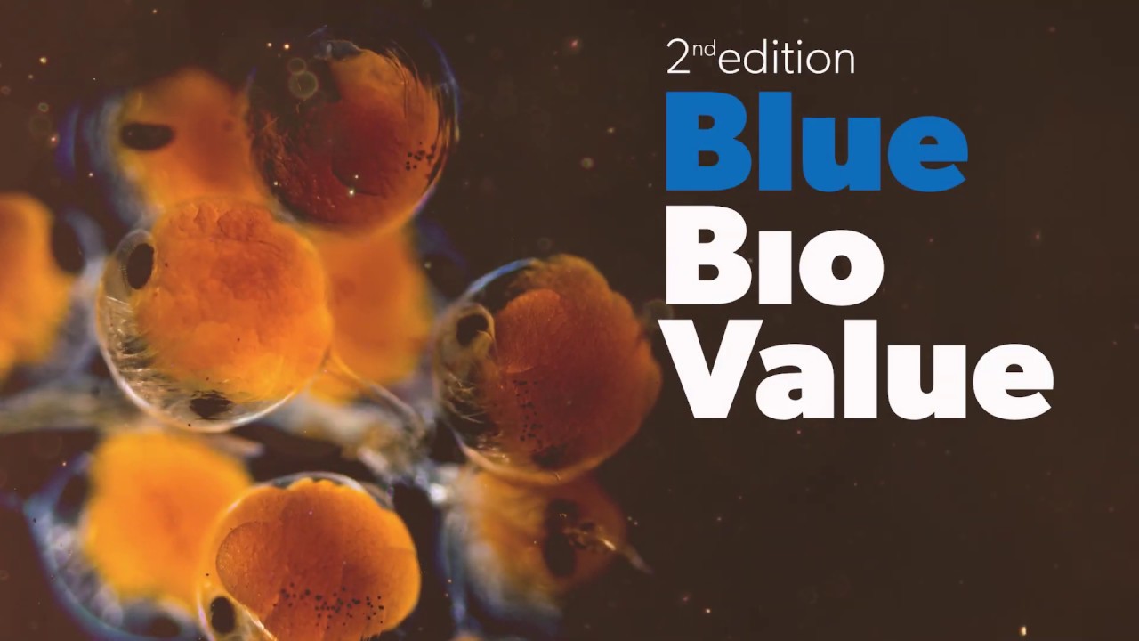 Blue Bio Value 2019 - YouTube