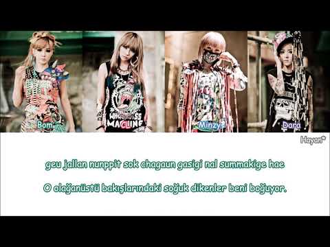 2NE1 - Ugly Turkish Sub./Türkçe Altyazılı [Color Coded]