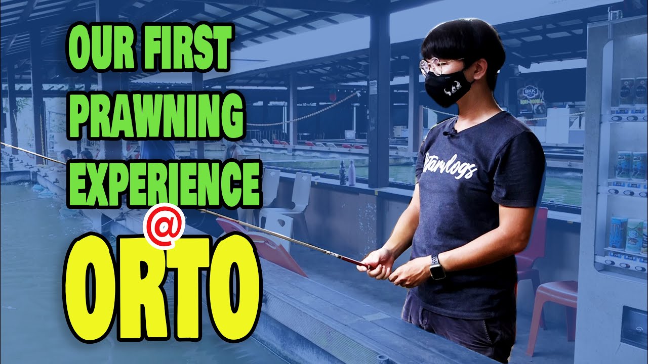 Orto Prawn Fishing In Singapore - How Many Prawns Can You Catch? - YouTube