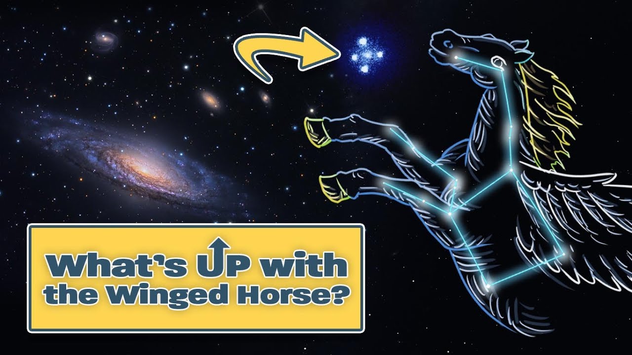 Pegasus Constellation