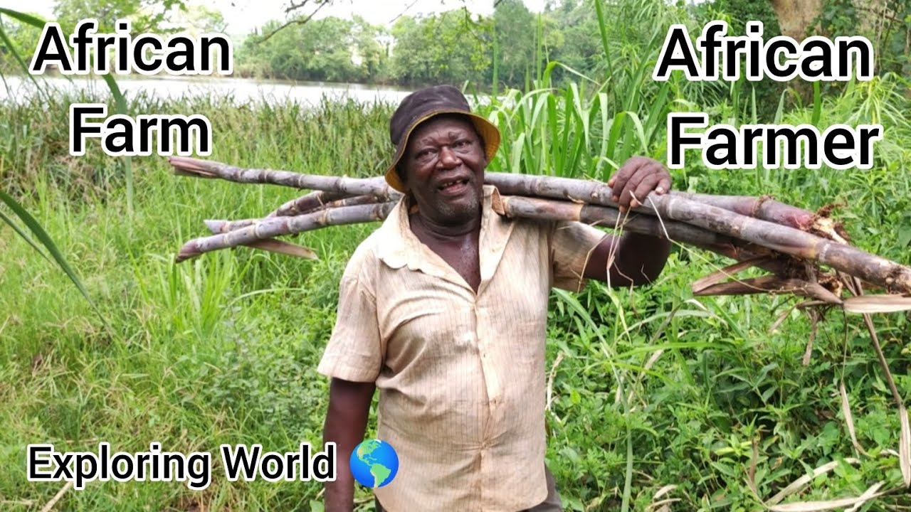 Exploring African farm - YouTube