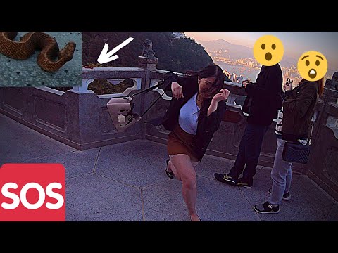 THE MOST EPIC SNAKE PRANK IN HONGKONG!! QUICK ESCALATION!! Cinematic Version