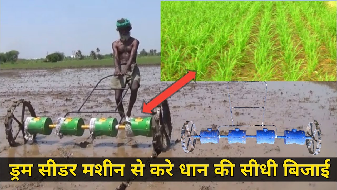 Paddy Drum seeder machine || धान लगाने की पैडी ड्रम सीडर मशीन / use ...