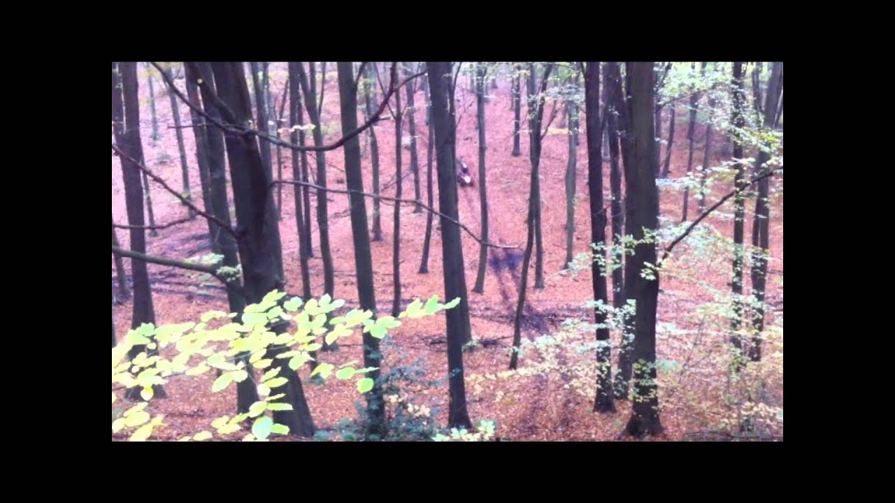 LTZ 400 & Quadzilla 350 Quad Annesley Woods.wmv - YouTube