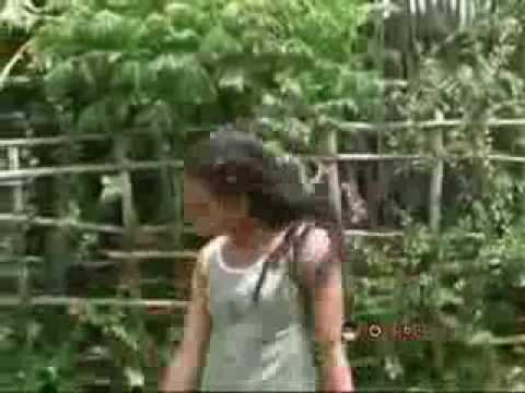 Kadiir martu best Song Shek bakri saphalo - YouTube