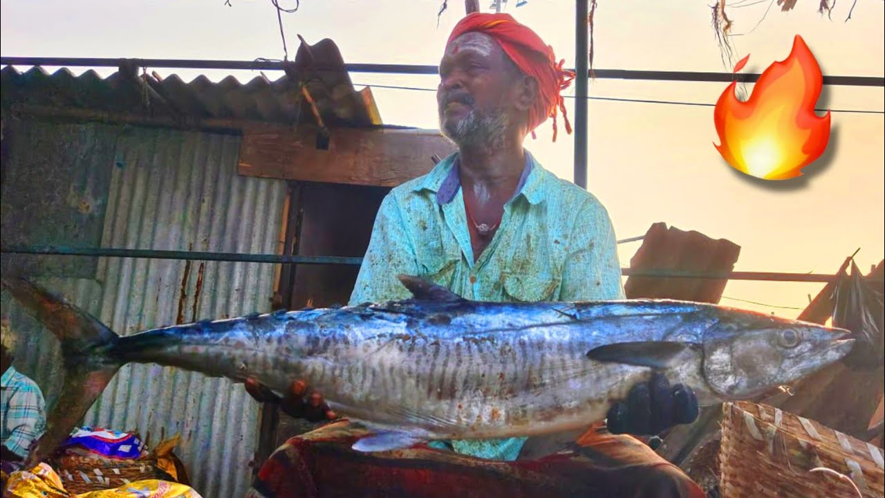 12KG VANJARAM FISH CUTTING 🔥| KASIMEDU OLD MAN FISH CUTTING | FISH ...