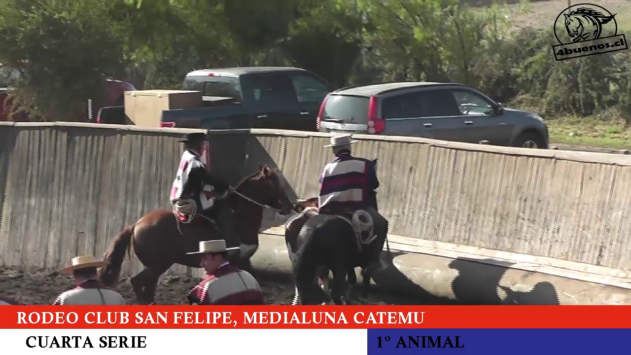 Martin Duran - YouTube