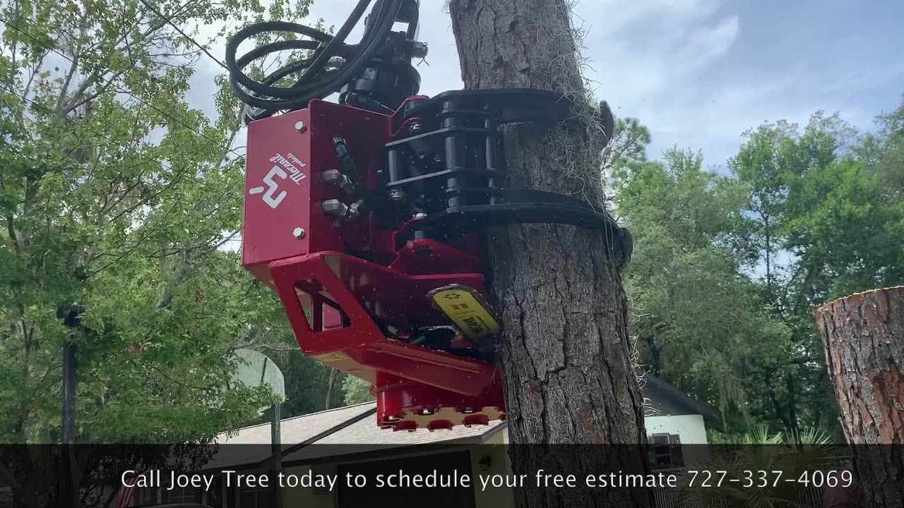 2021 Joey Tree Commercial - YouTube