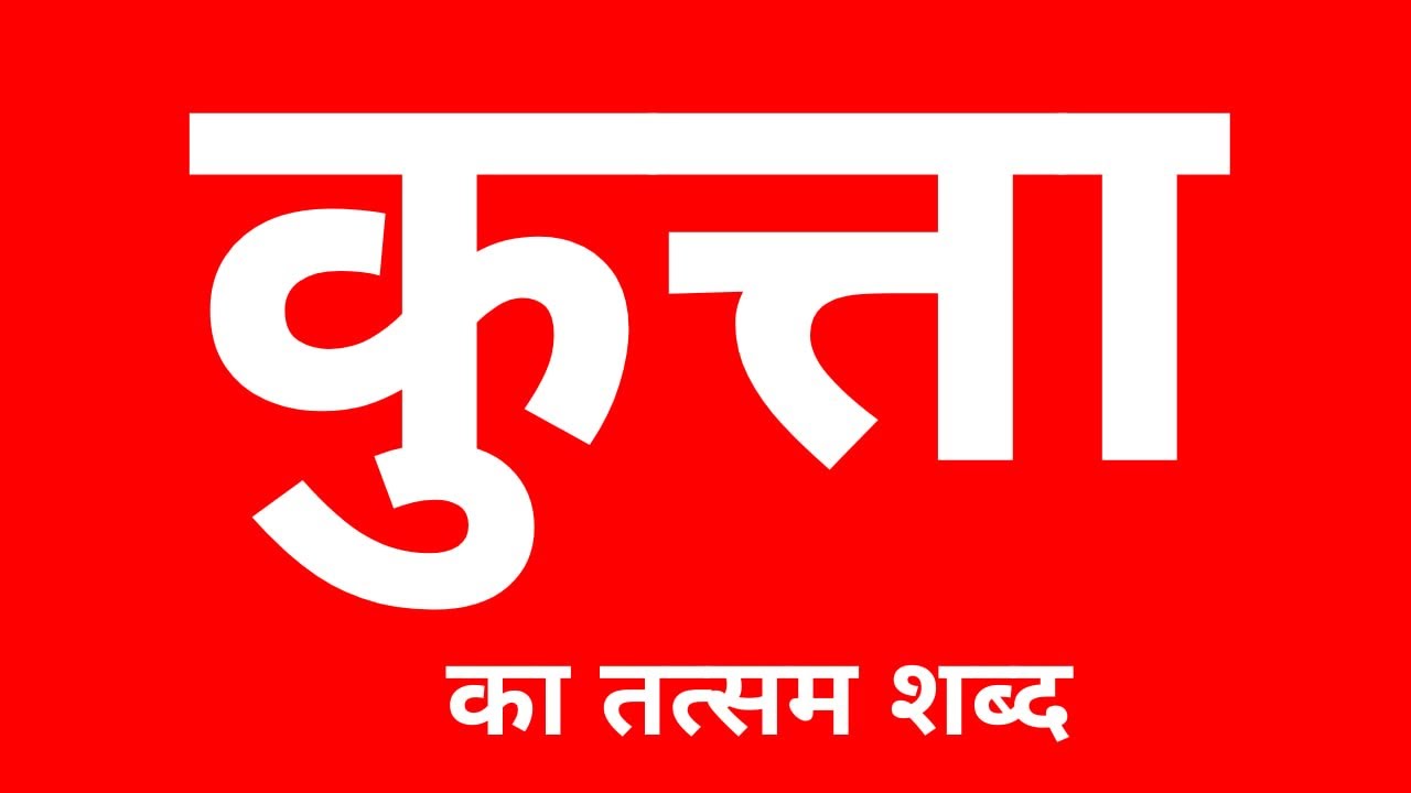 Kutta Ka Tatsam Roop | कुत्ता का तत्सम शब्द क्या होता है ? | Kutta Ka ...