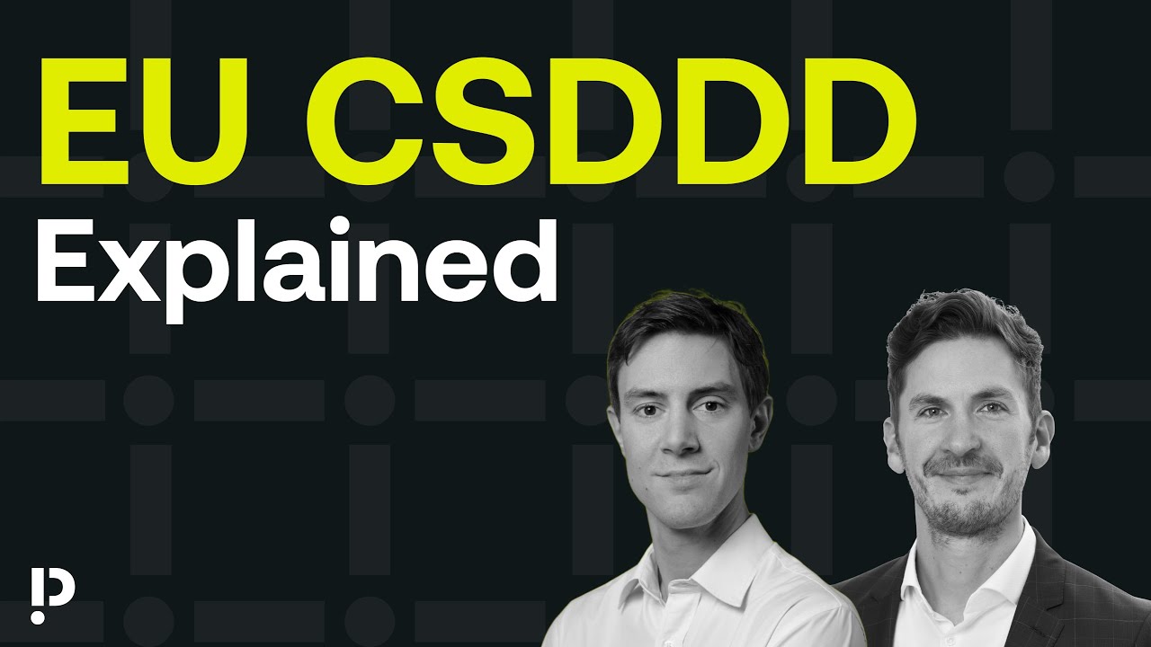 EU CSDDD Explained - Risk Assessment and Appropriate Measures - YouTube