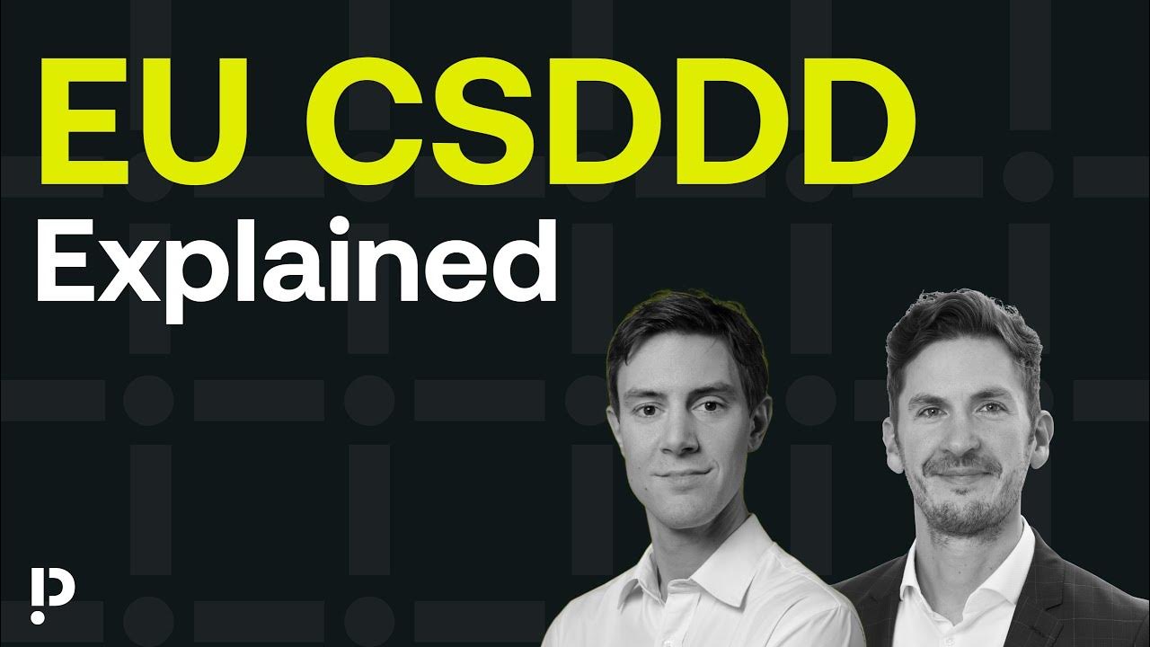 EU CSDDD explained - Risk assessment and appropriate measures - YouTube