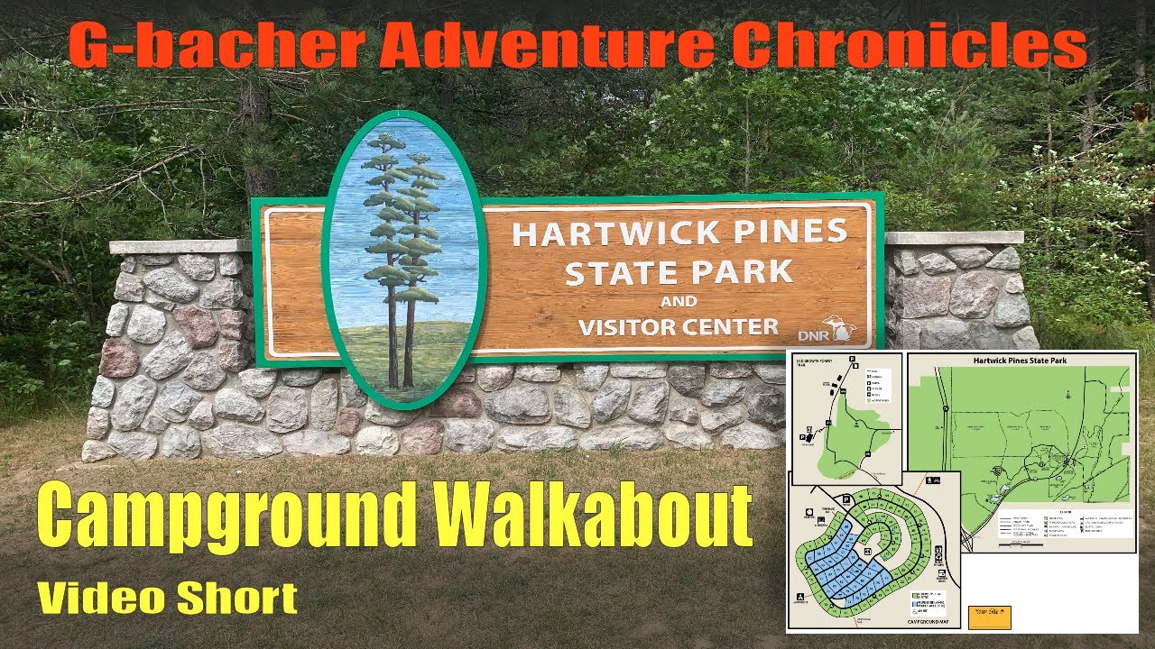 Hartwick Pines State Park Walkabout Video Short - YouTube