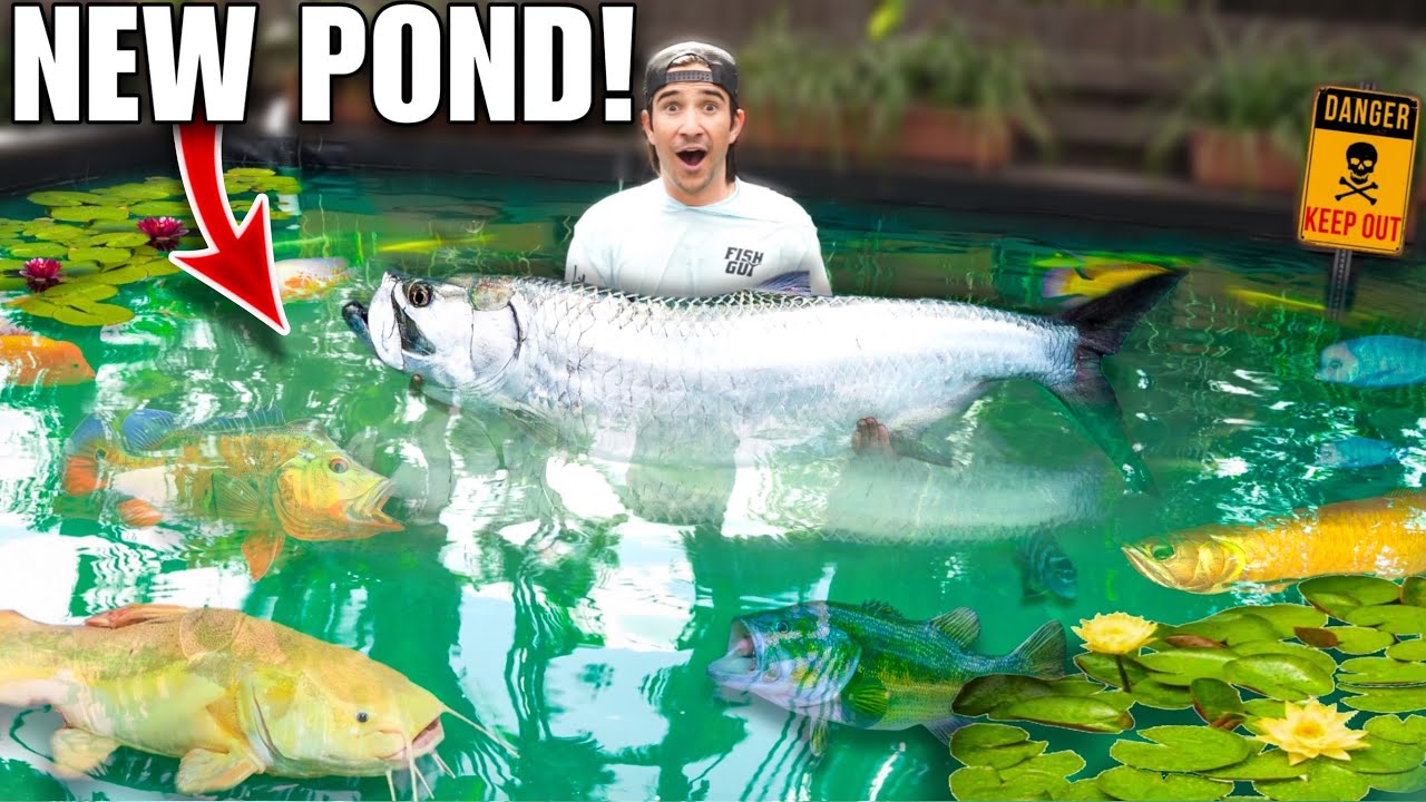 Turning The 4000G Backyard Pond Into EXOTIC DREAM AQUARIUM! - YouTube
