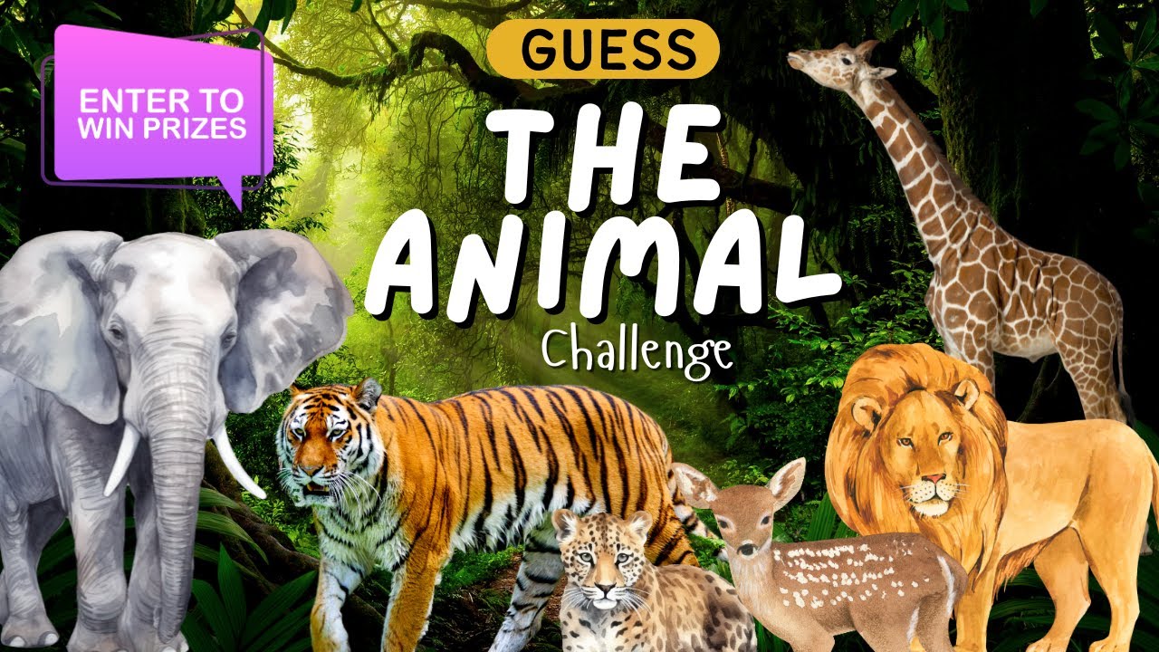 Guess The Animal Challenge! Are you Better Than a 5th Grader??? - YouTube