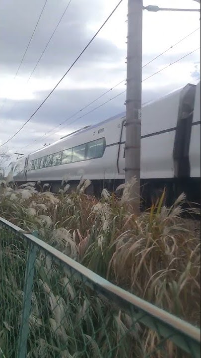 Japan Railway E353 series limited express Azusa🚆 - YouTube