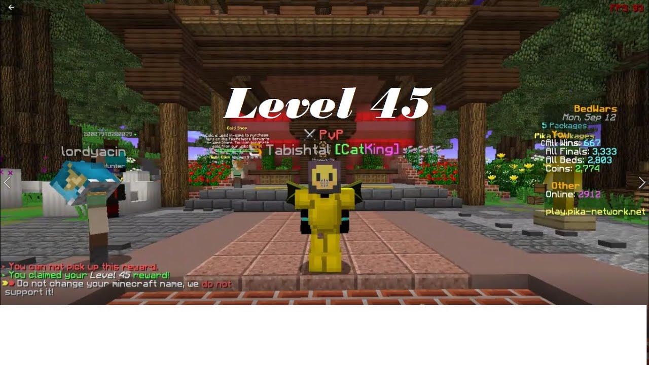 I Hit Level 45 On PIKA NETWORK - YouTube