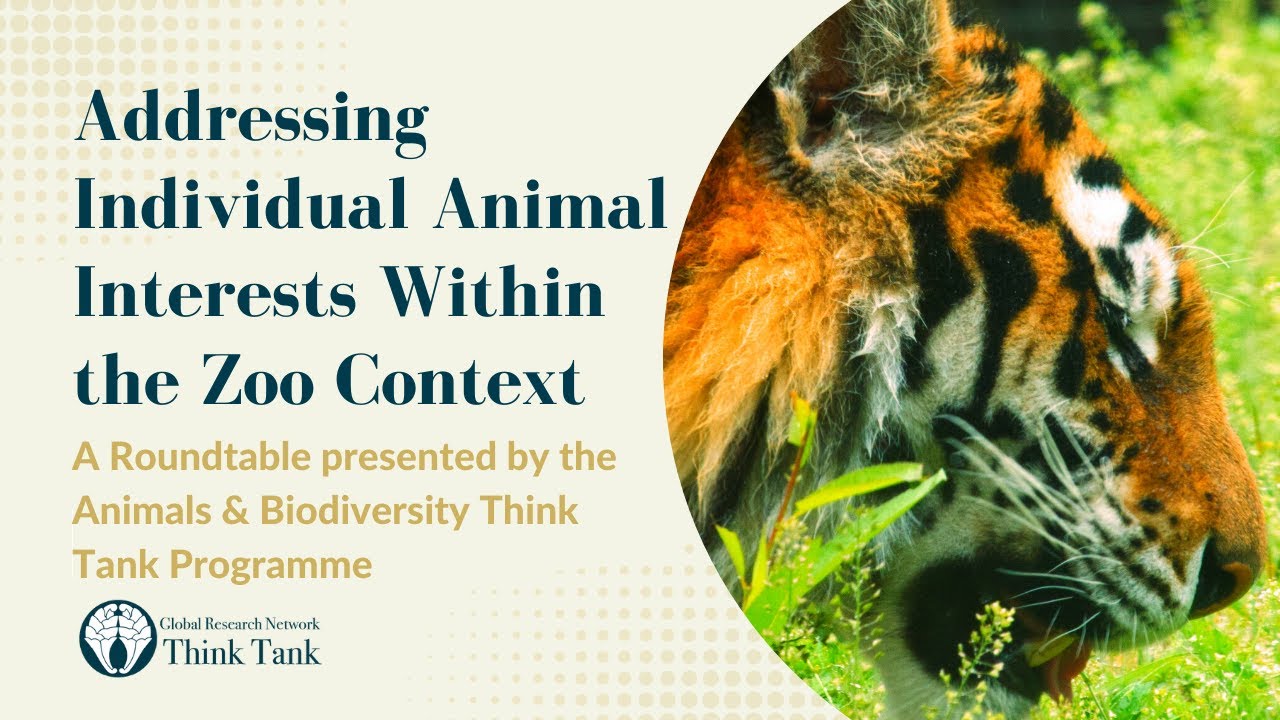 Roundtable: Addressing Individual Animal Interests within the Zoo ...
