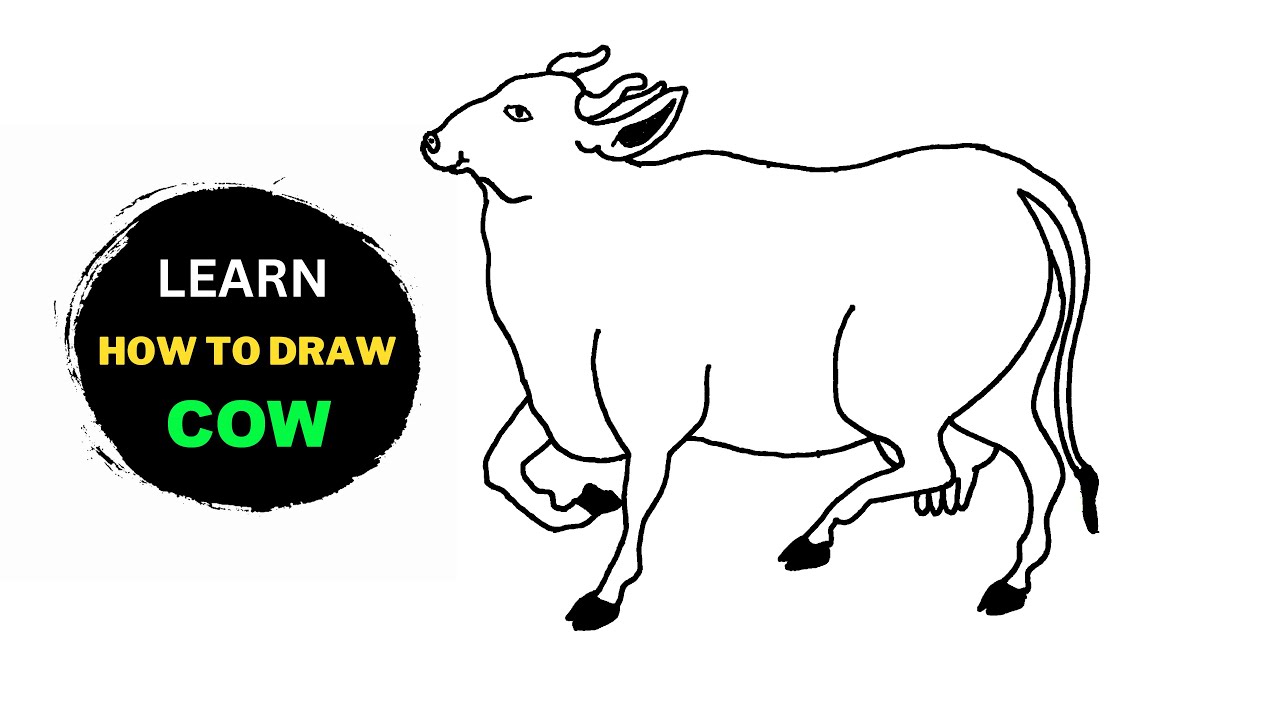 How To Draw A Cow | Easy Way Cow Drawing Step By Step | Cow Cartoon How ...