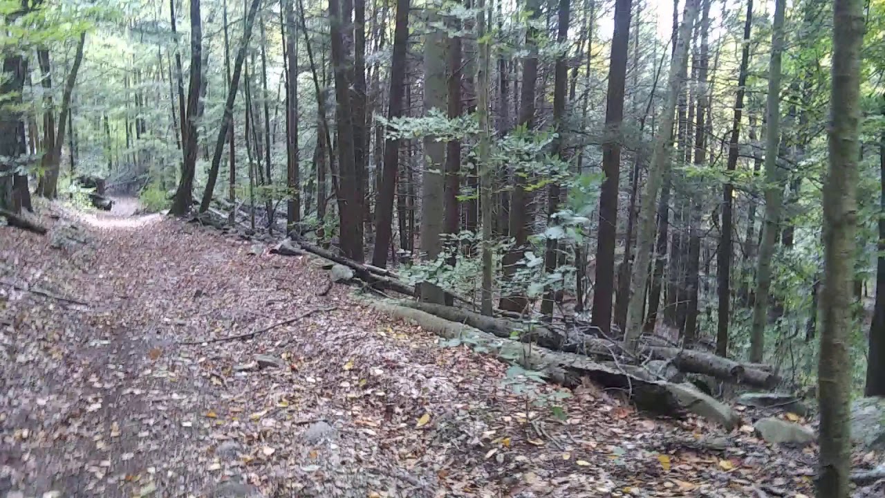 Thursday walk - YouTube