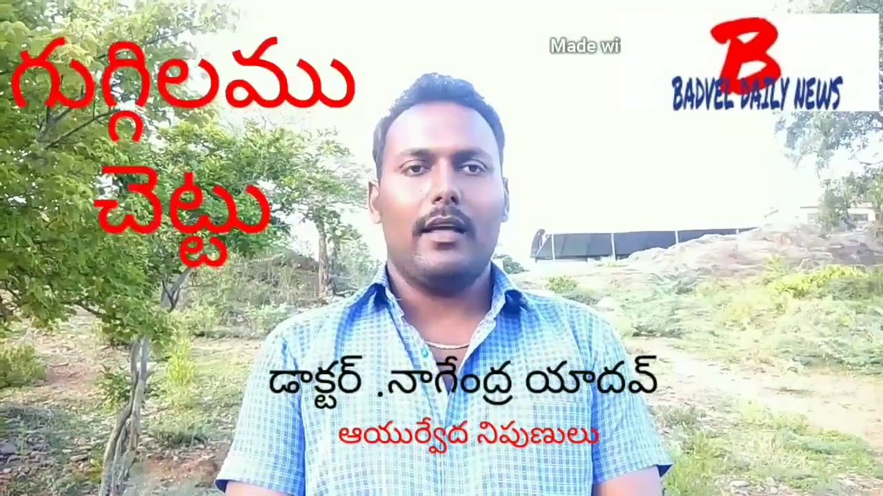 గుగ్గిలము చెట్టు....guggilam Tree..DR.nagendhra - YouTube
