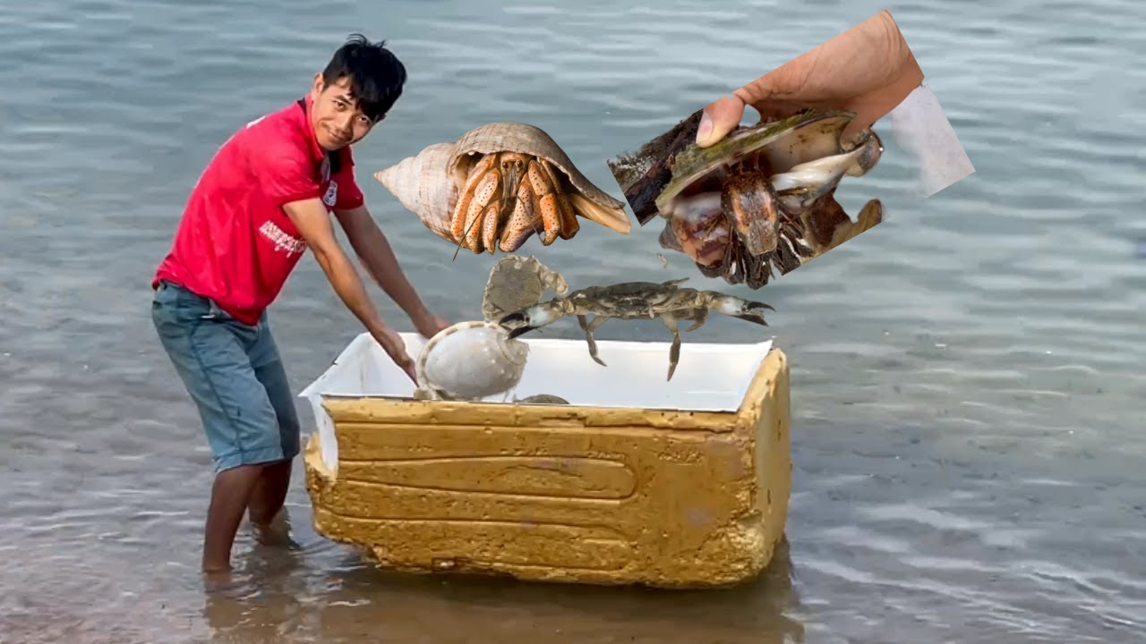 Making a crab Aquarium! | Making a crabs as a pet! - YouTube