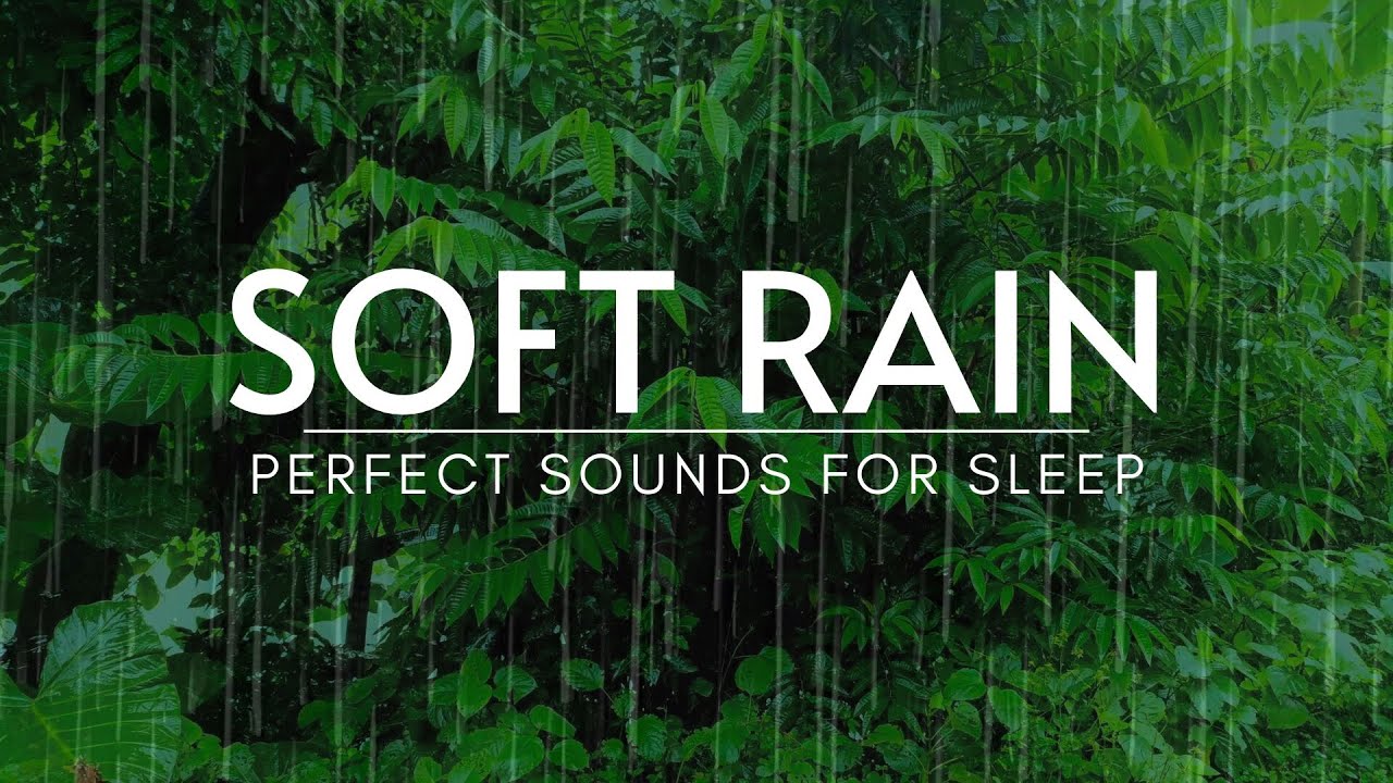 Pure Rain and Rolling Thunder Sounds for Sleeping Perfectly | Gentle ...