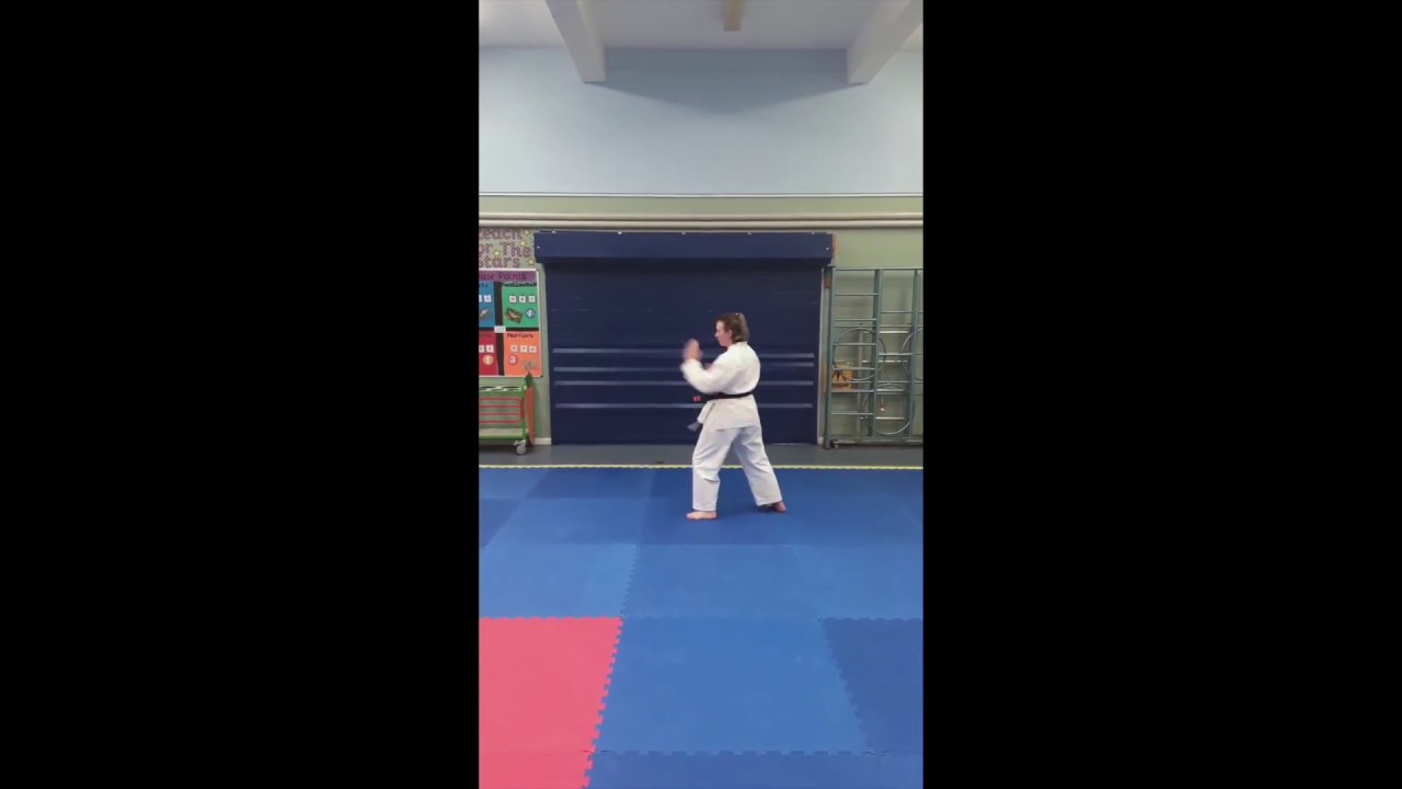 Zen Kutsu Dachi project leading hand Taisho Uke opposite hand Haisho ...