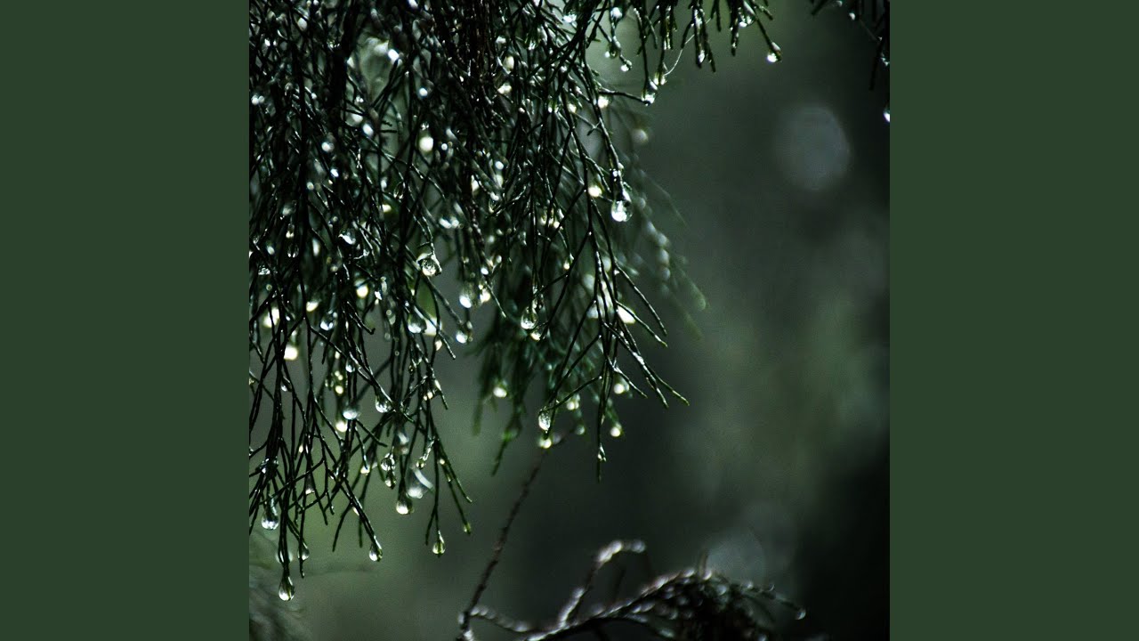 Soft Wind Rain Ambience - YouTube