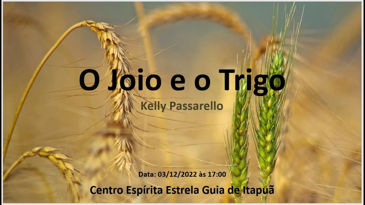 Palestra: O Joio e o Trigo - Kelly Passarello - YouTube