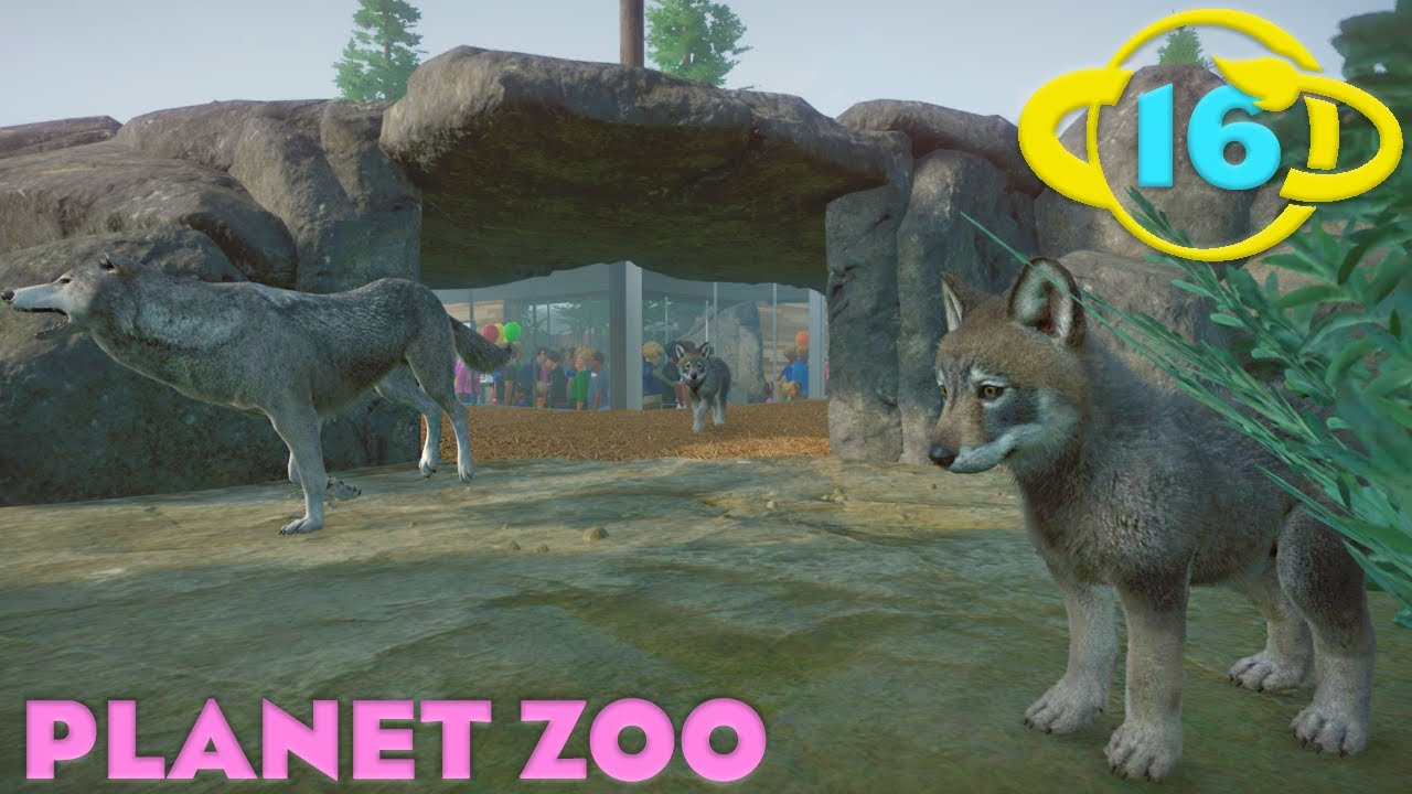 Planet Zoo - Ep. 16 - Timber Wolves (Cave Exhibit) - YouTube