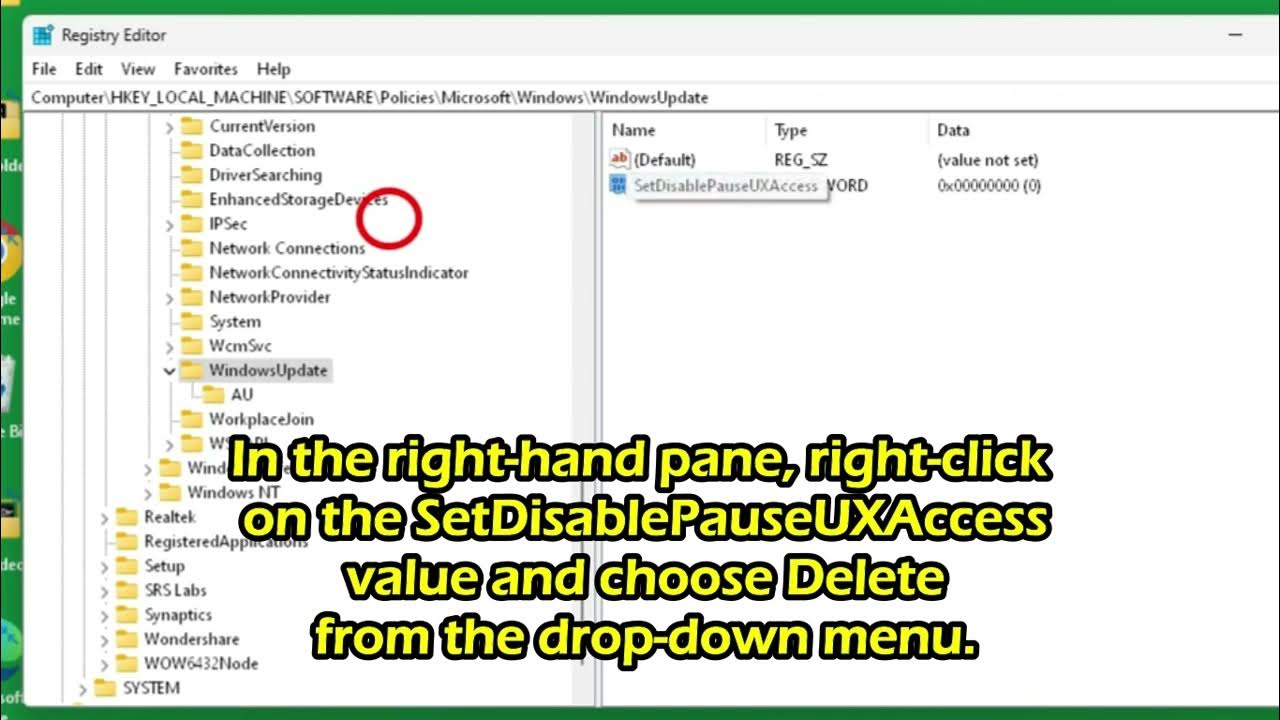 Fix: Check For Updates Greyed Out Windows 11 - YouTube