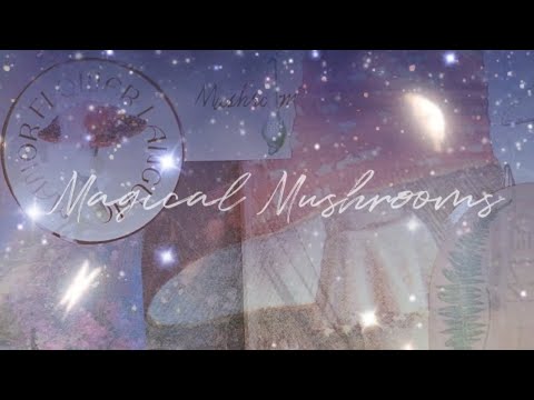 Decorating Diary/Collage/Art Journal: Magical Mushrooms🍄 - YouTube