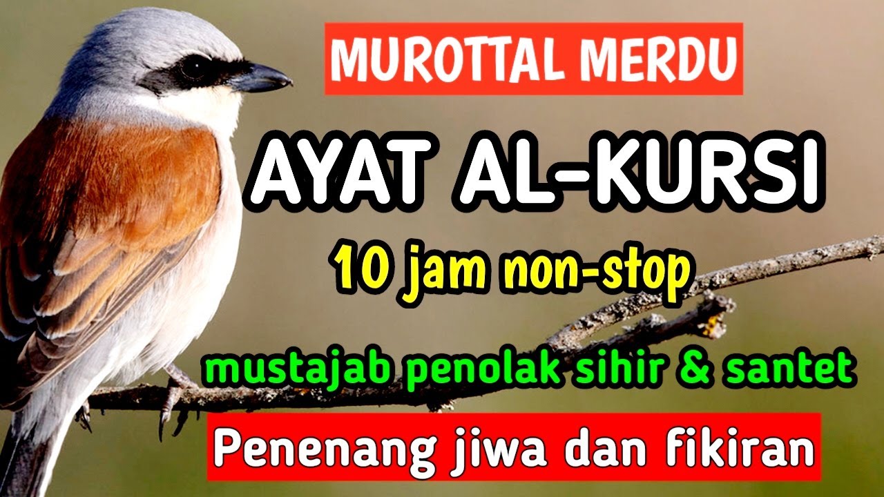 Bacaan AYAT KURSI Merdu 12 Jam Non-stop Penjaga Saat Tidur & Pengusir ...