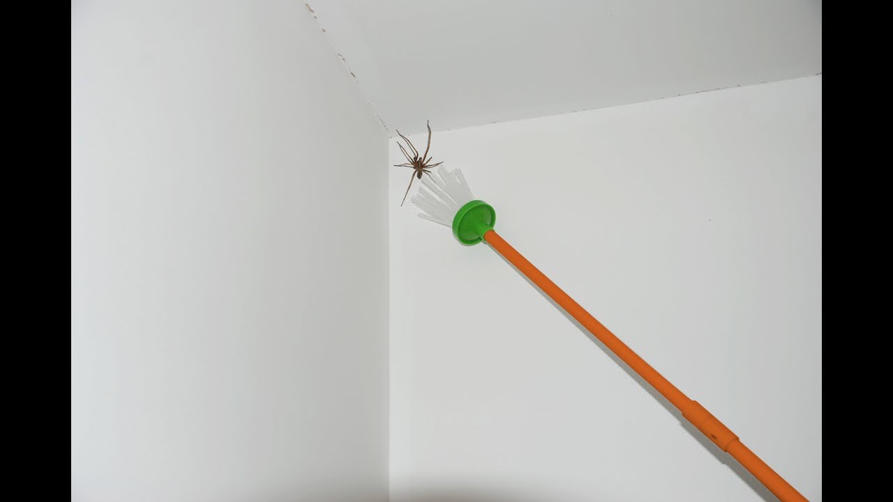 STV318a Spider Catcher XL - YouTube