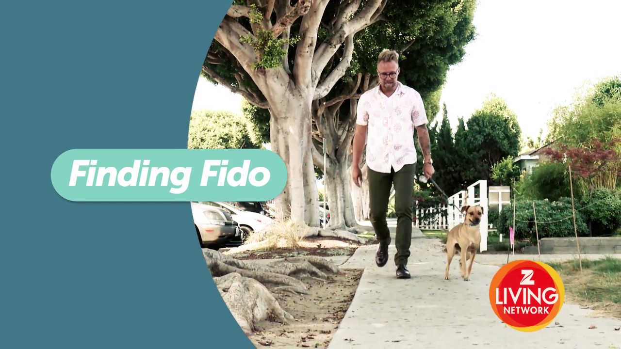 Finding Fido-Who's a Good Boy? - YouTube