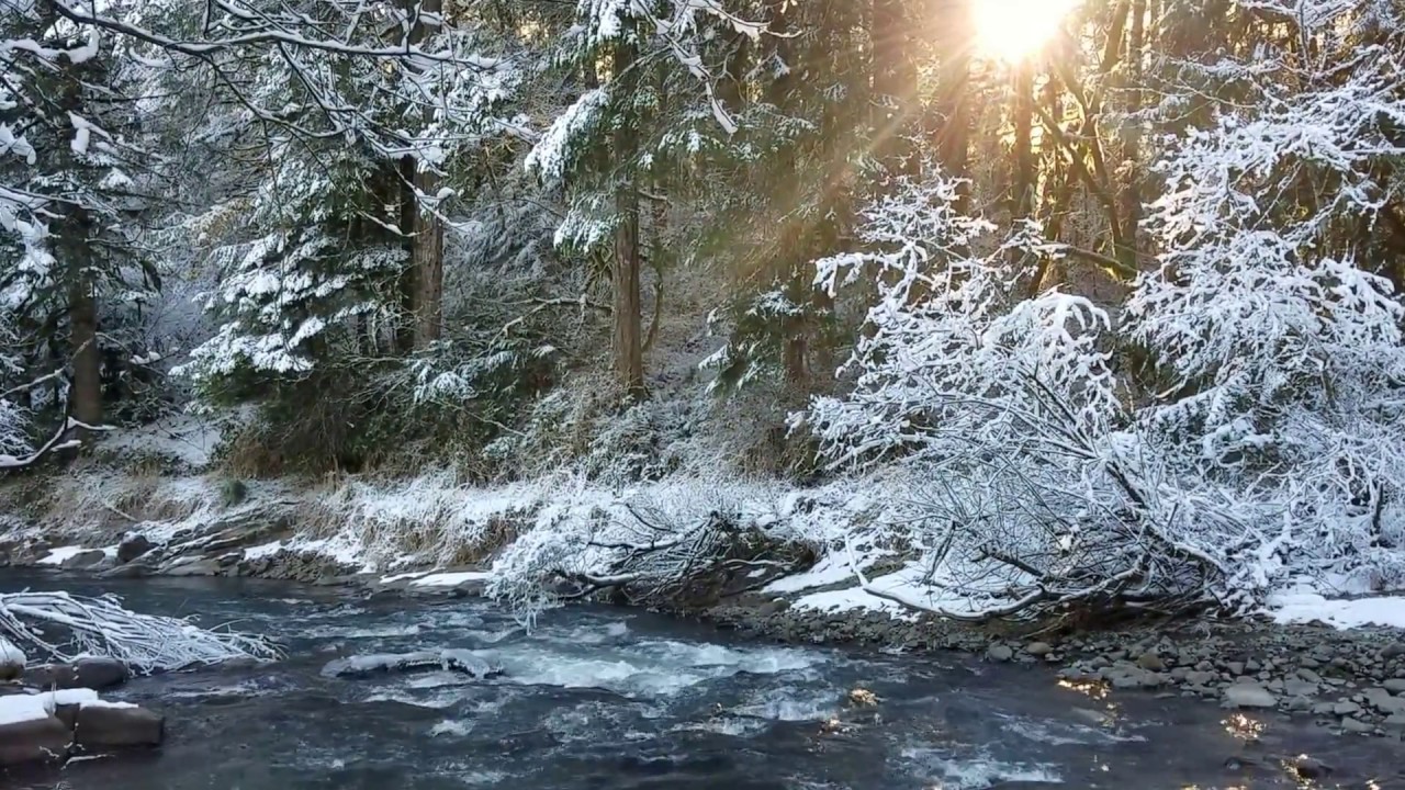 "30 Second Rest Stop" for your daily travels. - YouTube