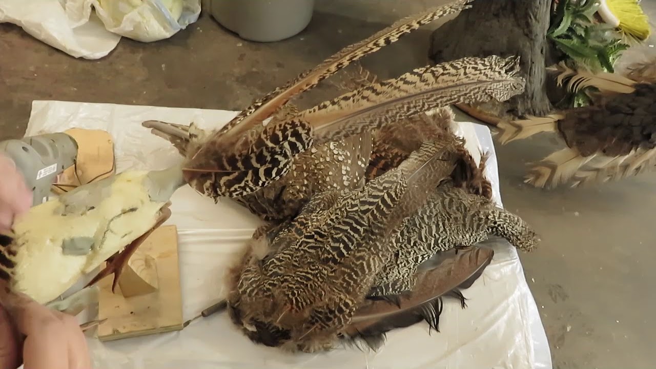 Falcatakely Process - YouTube