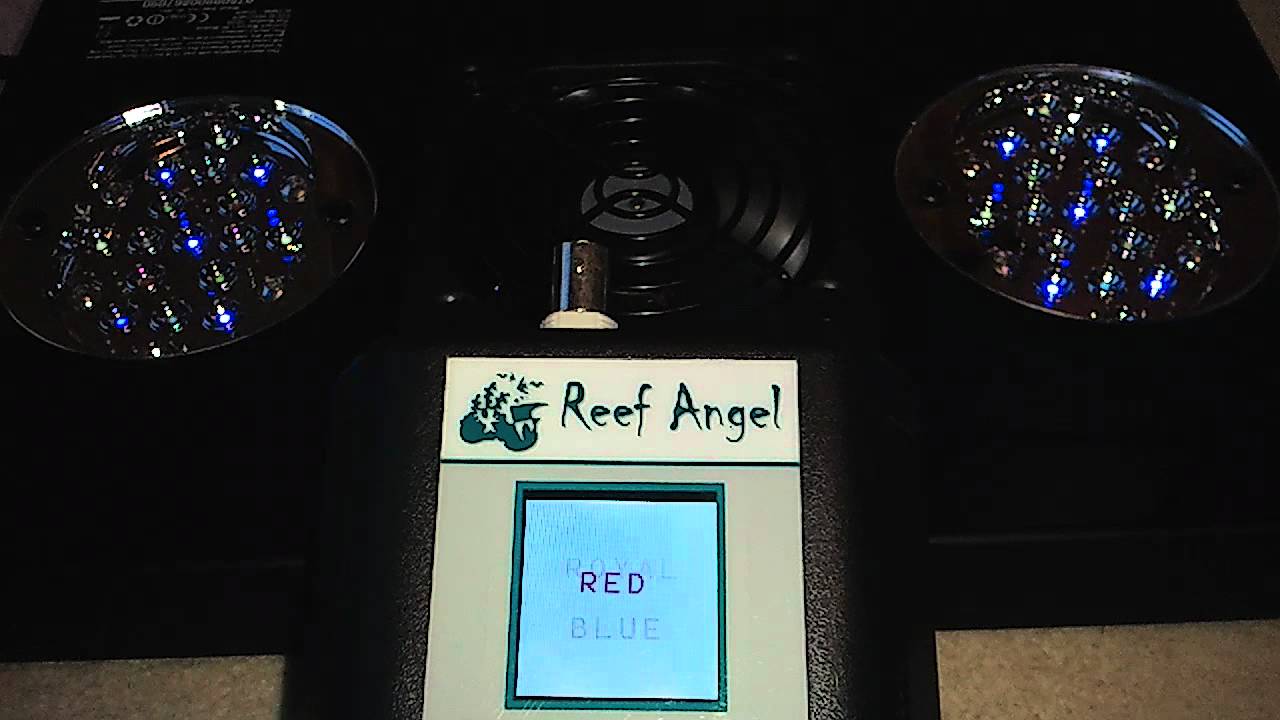 Reef Angel Controller and Ecotech Radion - YouTube