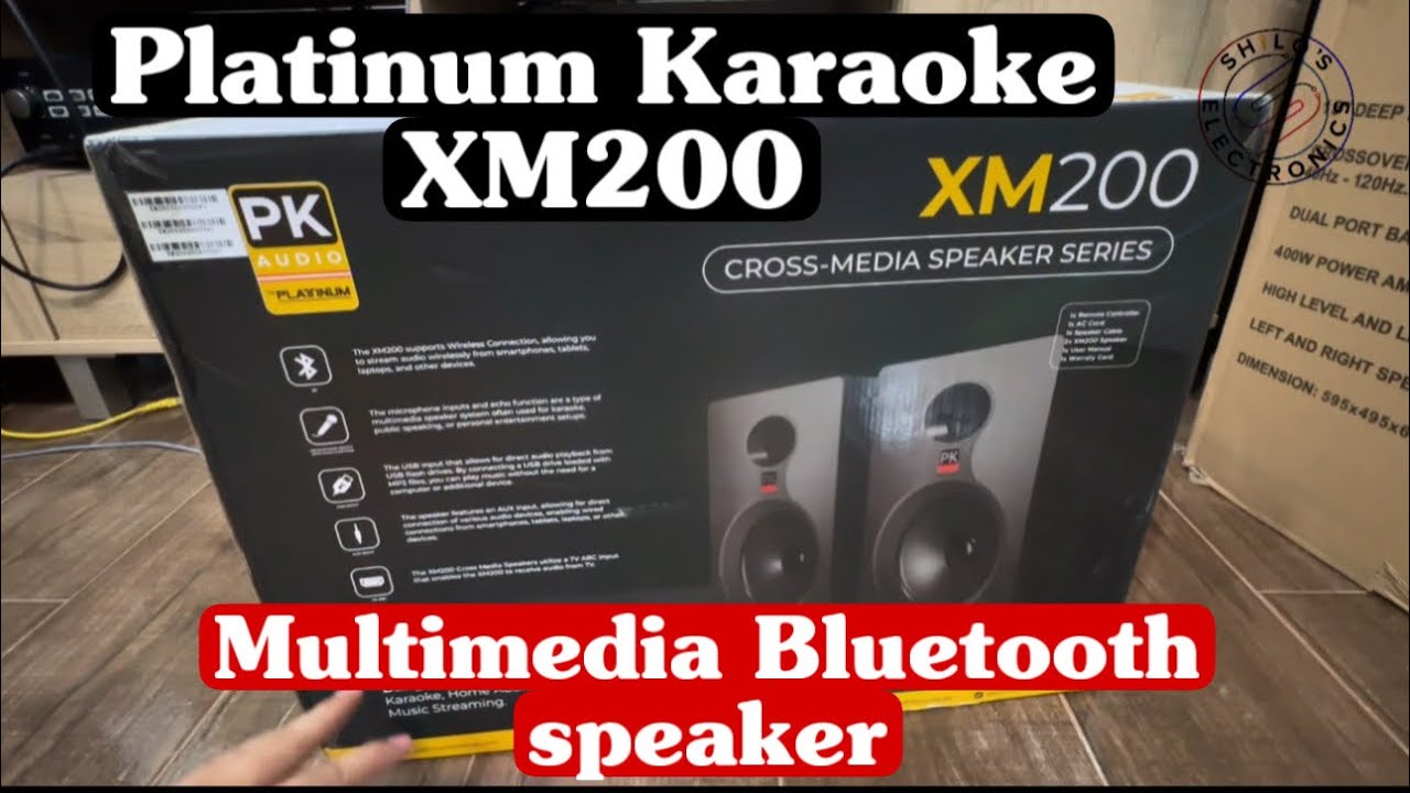 Platinum XM200 Multimedia Bluetooth Speaker Full Unboxing and Testing ...