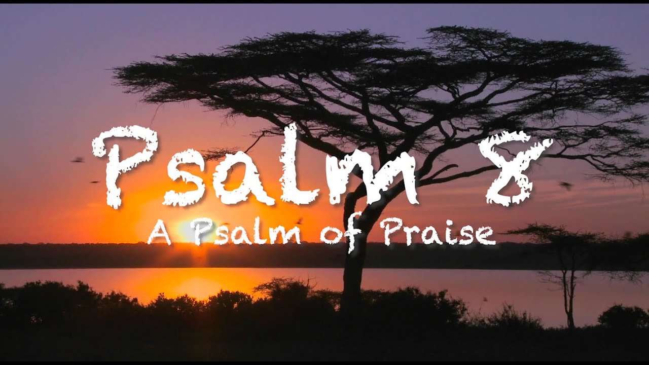 Psalm 8 | Daily Scripture | A Psalm of Praise - YouTube