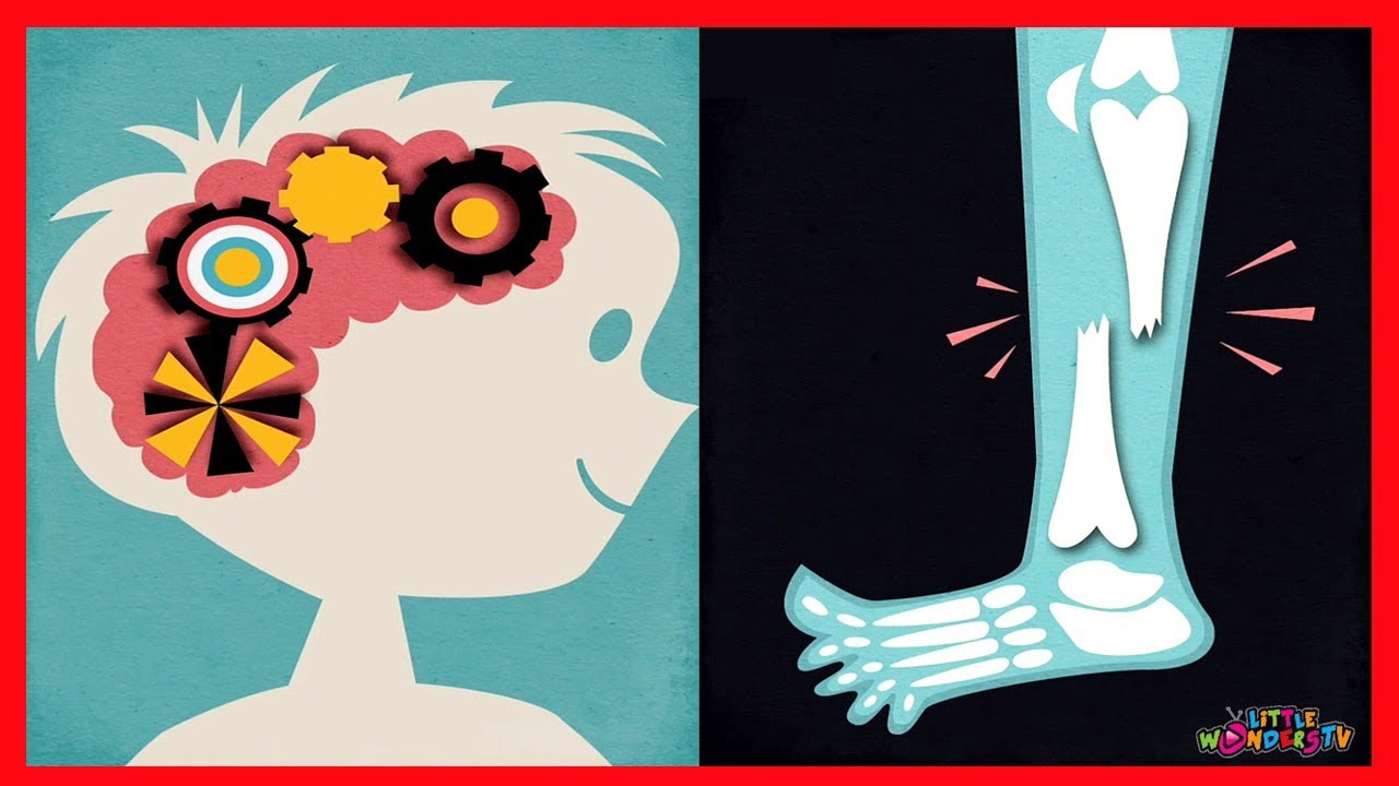 Toca Doctor - Let's Play Doctor | Toca Boca Gameplay - YouTube