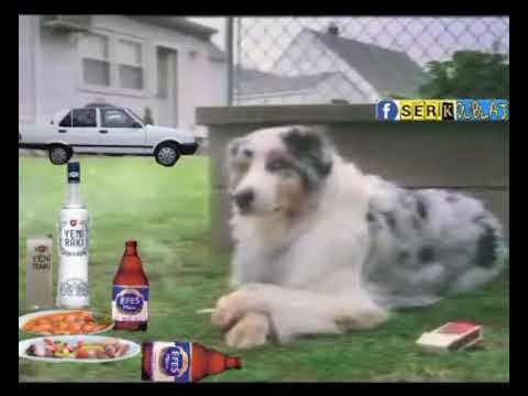 Ben sana ömrümü, vermedinmi.