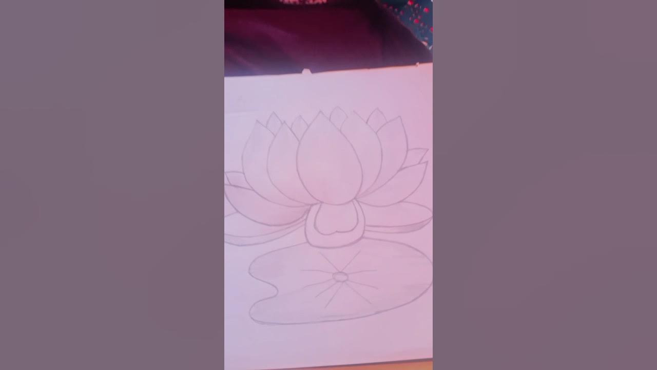 How to draw beautiful Lotus flower with pencil || abeera drawing and ...