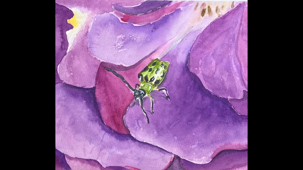 purple green bug - YouTube