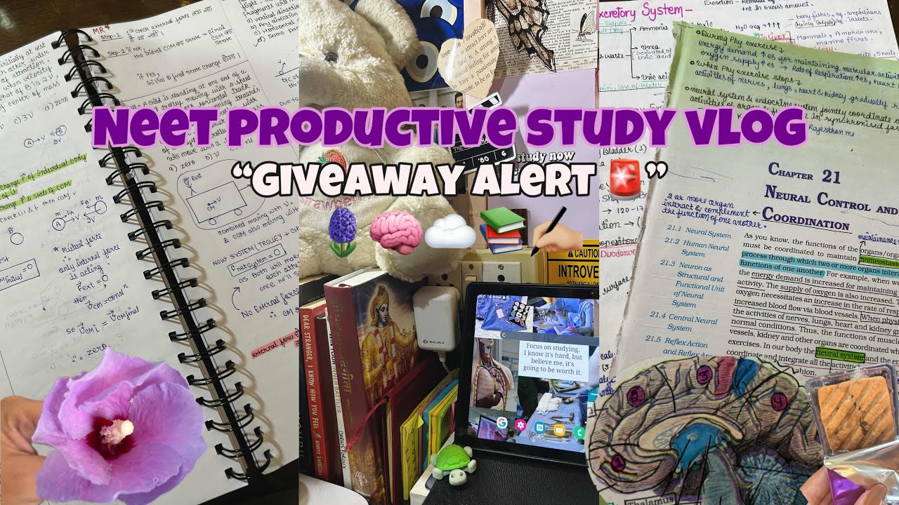 Neet Productive study vlog 📚|GIVEAWAY ALERT🎁 |#explore #neet2025 #neet #study #fyp - YouTube