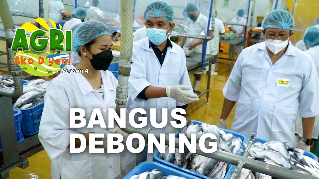 Bangus Deboning - YouTube