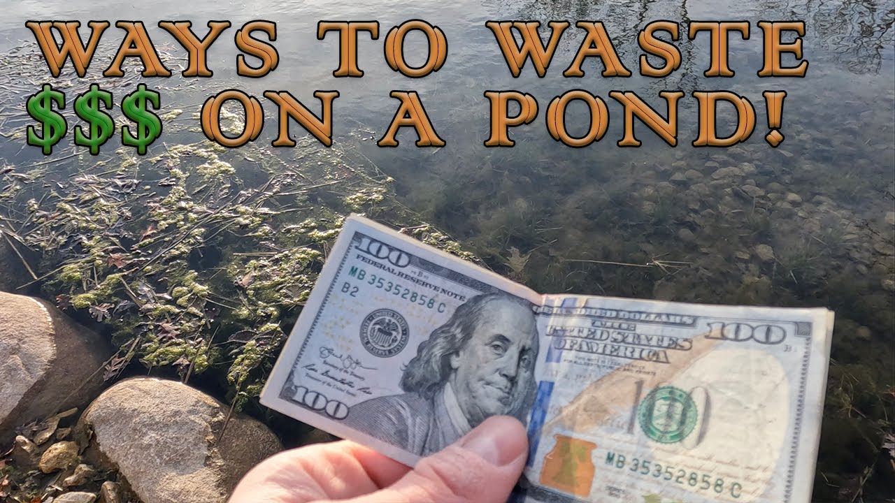 Freshwater Scud Culturing FAIL in Fishing Pond - How NOT to Introduce ...