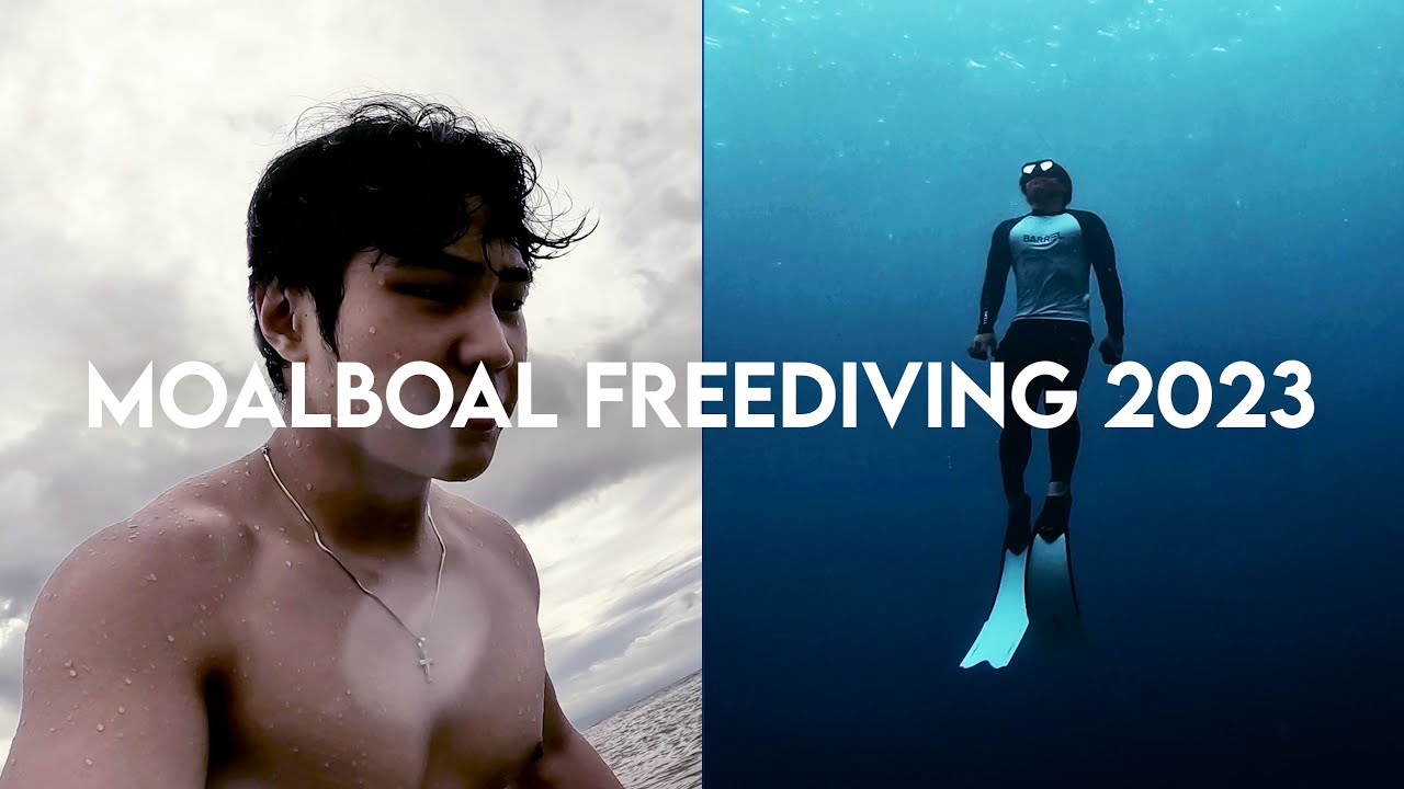 Beginners Freediving in Moalboal | Sardine Run - YouTube
